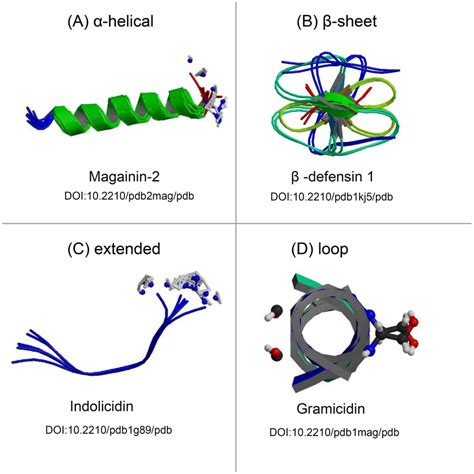 Protein Models Representing The Structural Differences Of The Four Download Scientific Diagram