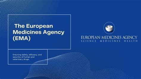 Gmp Regulatory Bodies Understanding The Key Differences Gmp Insiders