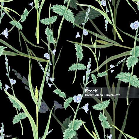 검은 배경에 녹색 야생화와 푸른 꽃이 있는 수채화 무늬 식물 스타일로 손으로 그린 것 휴일 웨딩 디자인 직물 섬유 벽지 표지 인쇄물 포장 종이 스크랩북용 디지털 종이 팩 꽃