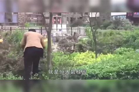 碧桂园加速撤离，恒大降价抛售，2020年楼市会如何发展？恒大楼市碧桂园