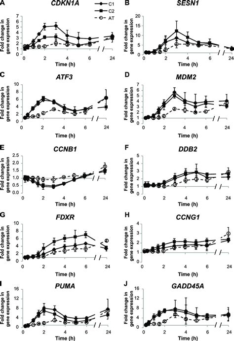 Temporal Expression Pattern Of Ten Protein Coding Genes After Radiation Download Scientific
