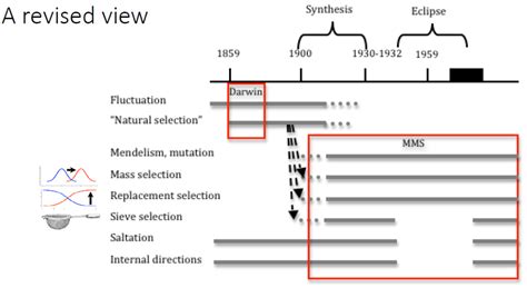 Mendelian Mutationism Ii The Fluctuation Mutation Distinction