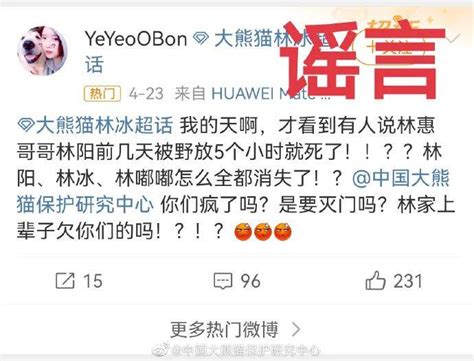 辟谣！关于多只大熊猫林冰网络专业