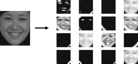 The Visualization Of Several Visual Level Features Of The First Layer