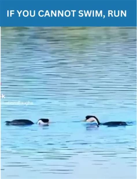 Sheikh Muhammad Sufian Acca Posted On Linkedin