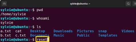 The Clear Command In Linux 3 Practical Examples