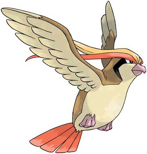 Pidgeot Pokédex Stats Moves Evolution And Locations Pokémon Database