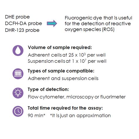 Total Reactive Oxygen Species Ros Assay Kit At Michelle Reis Blog
