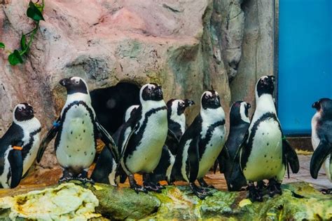 여수 가볼만한곳 여수 아쿠아플라넷 뮤지엄오브컬러 후기 입장권 할인 네이버 블로그