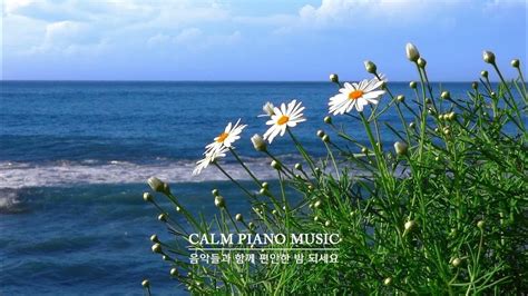 집중과 편안함에 도움을 주는 피아노 연주 ⎮ 집중 공부 힐링 휴식 감성 명상 Youtube