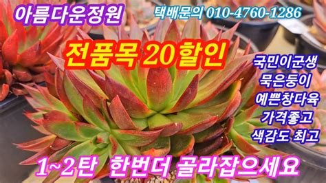 아름다운정원 1~2탄 한정수량 특가세일 국민이군생들 창들도 전품목 20할인 ♡살루군생♡흑사금♡솜니엄♡누부라대품♡로라클론♡쉘브르♡카시오적금♡핑크다이야♡맥라이징