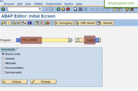 Tcode Se38 Create Program Hello Word Ilmu Programmer