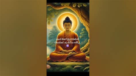 සියලු දෙනා සාධුකාර දෙයි මාගේ බුදුපියාණන්ට ඔබවහන්සේ නැති අඩුව අපිට ගොඩක් දැනෙනවා Youtube