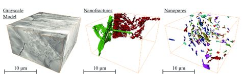 Target Fib Sem Model And Results Of Its Segmentation Download