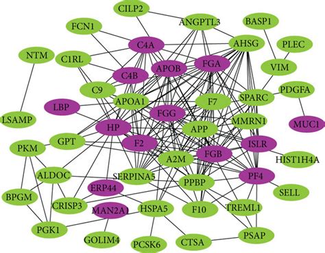 Screening And Validation Of Hub Proteins In Ppi Network A Ppi
