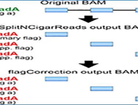 The Gatk Best Practices For Variant Calling On Rnaseq Rna Seq Blog