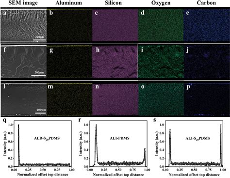 cross‐sectional sem images and corresponding eds maps of s‐pdms hybrid