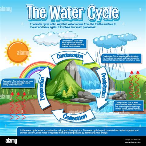 The Water Cycle Diagram For Science Education Illustration Stock Vector
