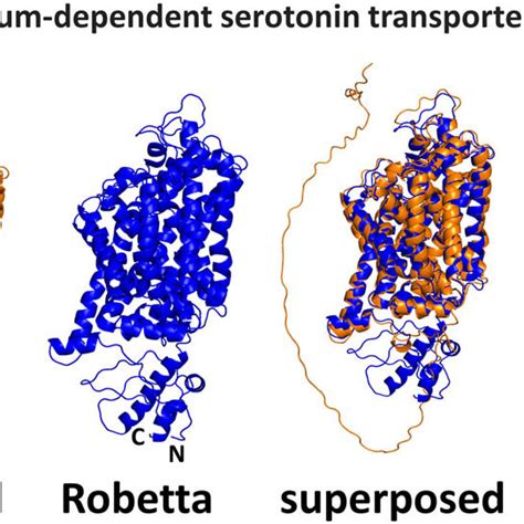 Example Of Alphafold Structure Alphafold Model Of Mid1 Interacting Download Scientific Diagram
