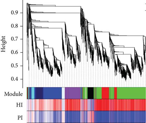 Weighted Gene Coexpression Network Analysis Of Rna Seq Data A Download Scientific Diagram