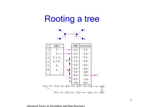 PPT Rooting A Tree PowerPoint Presentation Free Download ID 5133306