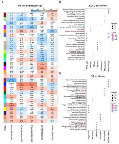 成都生物所在丹参酮合成调控机制方面取得新进展 生物通