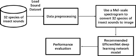 Figure 2 From Enhancing Insect Sound Classification Using Dual Tower