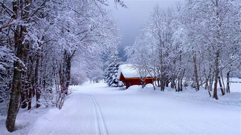 Snowy Road Winter Landscape Wallpapers Wallpaper Cave
