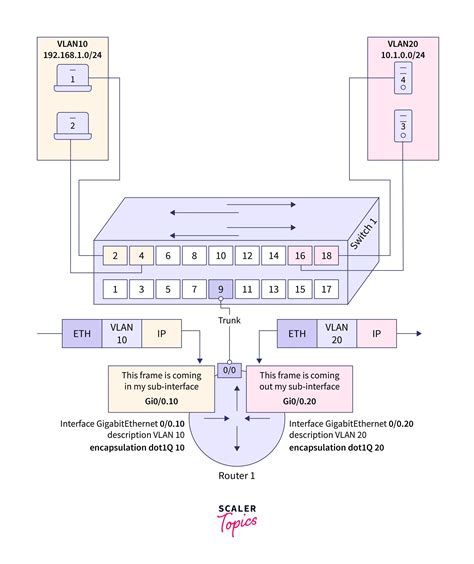 Router On A Stick Scaler Blog
