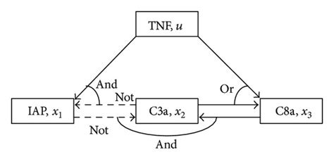 optimal control of gene regulatory networks with effectiveness of