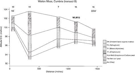 Transect B Stratigraphy Of Walton Moss Download Scientific Diagram