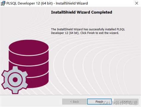 Plsql Developer 下载、安装及汉化详细教程（全网最详细且附有下载链接，保姆级教学，本人已操作确保有效） Csdn博客
