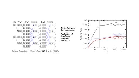 fingerhut group real time simulations of dissipative quantum dynamics