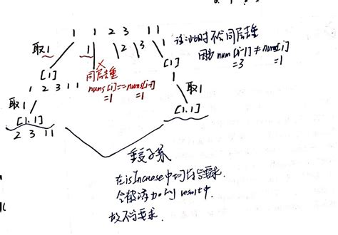 代码随想录刷题day55 （回溯算法篇）491 非递减子序列 csdn博客