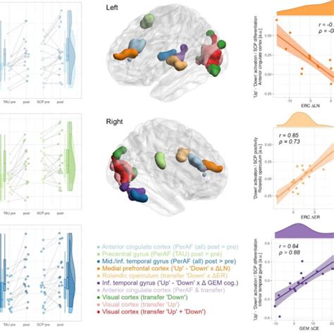 Results Of The Resting Brain Activity And Brain Regulation Task
