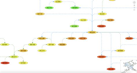 Net Graph Visualization Tom Sawyer Software