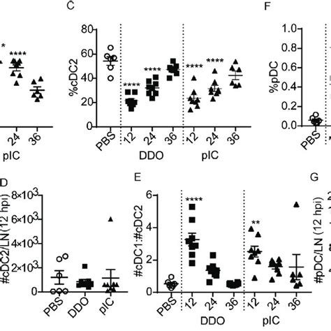 Ddo Induces Accumulation Of Cdc1s In The Draining Lymph Node Wt Mice