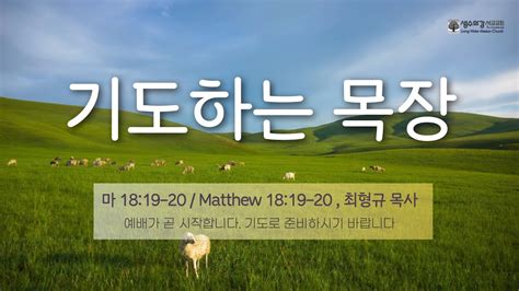 [생수의강 선교교회 주일예배] 기도하는 목장 마 18 19 20] 최형규 목사 02 04 2024 Youtube