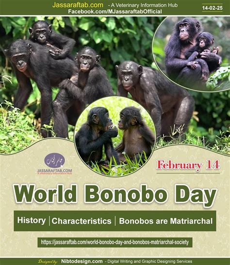 World Bonobo Day History Habitat Matriarchal Society