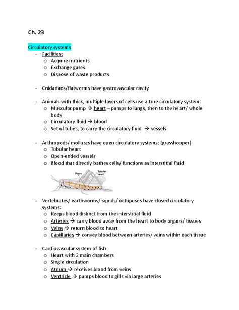 Ch 23 Chapter 23 Notes Ch 23 Circulatory Systems Facilities O