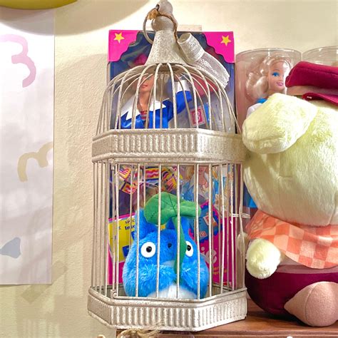 새장에 갇힌 중토토로🌱 콜리colley