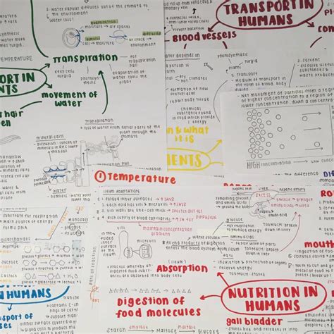 Sec 3 And 4 Combined Science Biology Chemistry Notes Hobbies And Toys