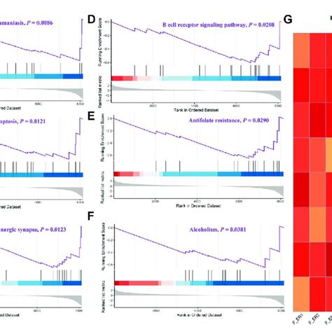 Gsea Of The Quantificational Genes From Rna Seq Representative Gsea Download Scientific