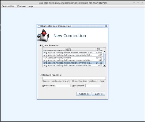 Monitorizar Procesos Java Con Jconsole 13 Jdk Y Jconsole Local