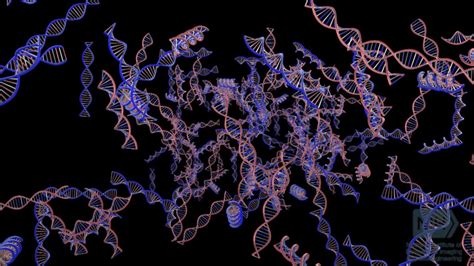 Mcat Genetics What To Know Magoosh Mcat Blog