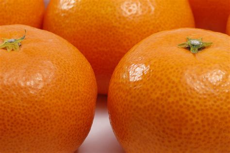 みかんの皮のブツブツ 愛媛みかん 西宇和みかん