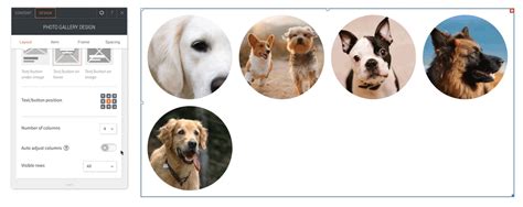 photo gallery auto adjust columns