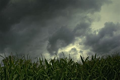 Free Images Nature Cloud Sky Field Lawn Meadow Prairie