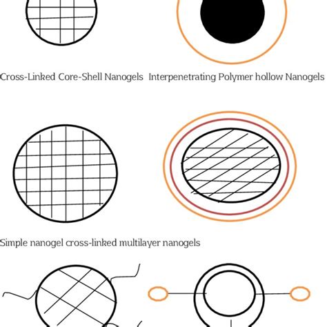 Classifications Based On The Structure Download Scientific Diagram