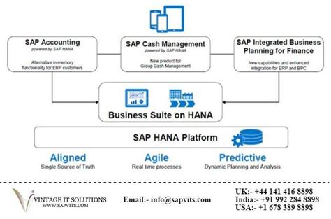 Sap S Hana Is The Platform That Will Enable Businesses To Operate In